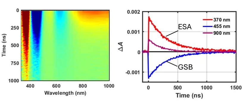 Advancements in Transient Absorption Spectroscopy Technology
